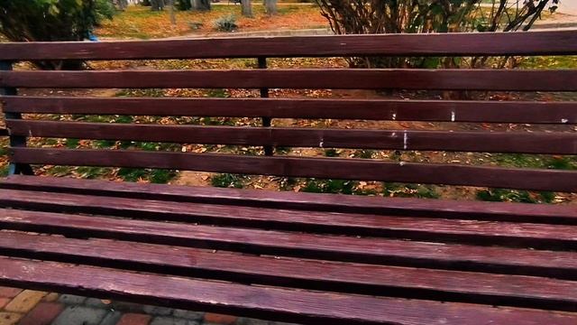 Золотая осень в молодежном парке.