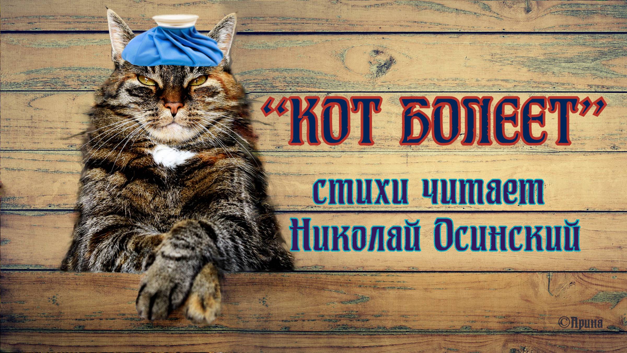 Кот болеет...
