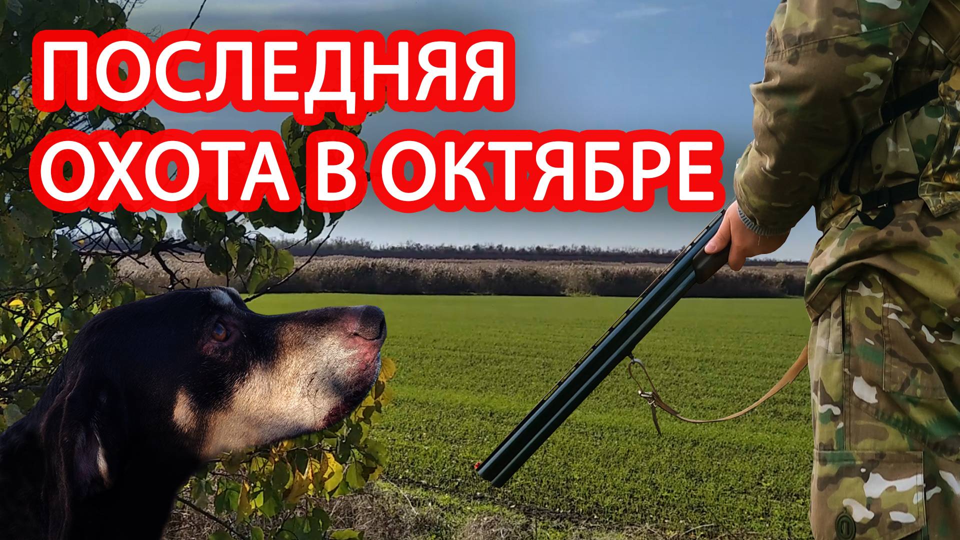 ОХОТА В КОНЦЕ ОКТЯБРЯ