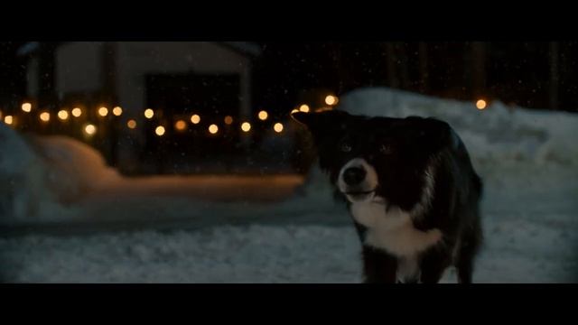 🎬 Моё собачье дело (2024)
    
⚡  Михаил — бывший конструктор самолетов, а ныне просто дедушка,