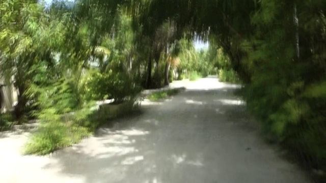 Поездка по острову @ Canareef Resort Maldives, 2022