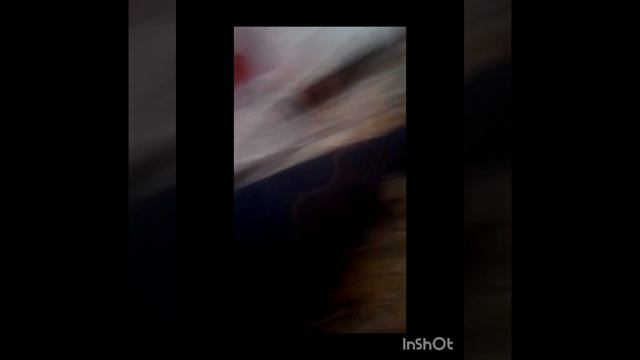 5 способов как разозлить Артура