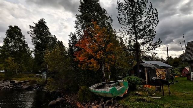 Шторм, ураган- аж деревья гнутся!