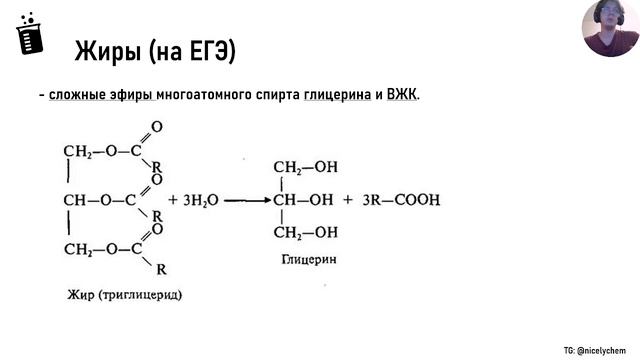 Сложные эфиры и жиры на ЕГЭ