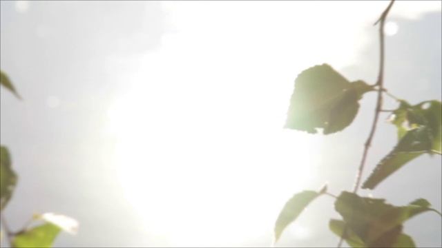 Vasilii CECEGOV - Если вспомню...