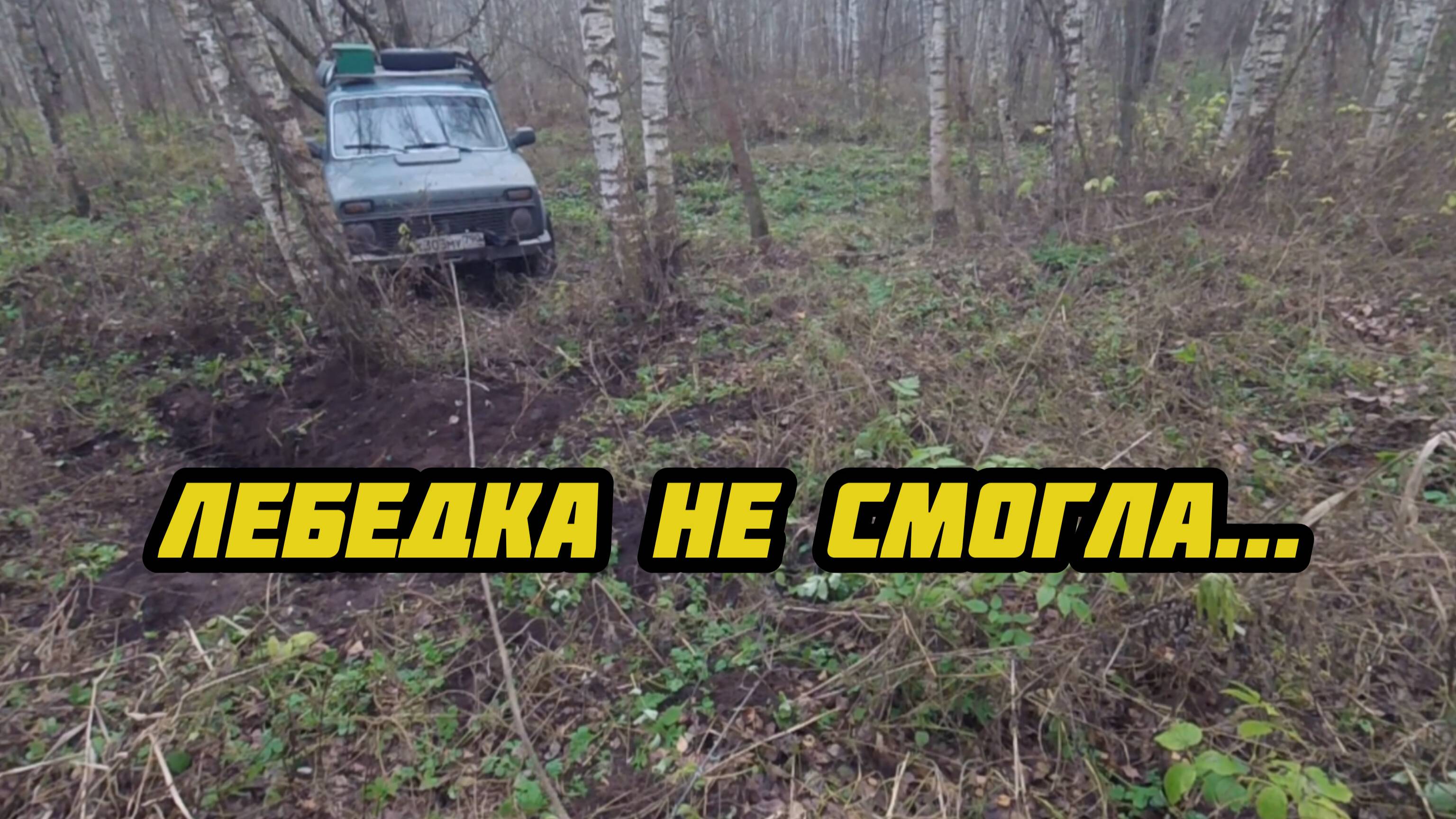 Пришлось оставить эту находку,но не всю...