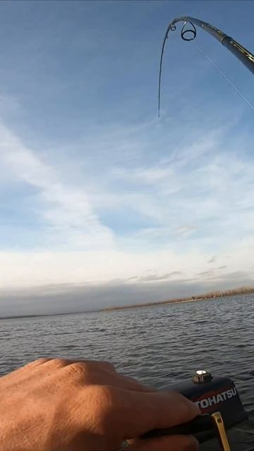 ВОТ ЭТО ВДАРИЛ...😱🎣🦈МОЩНАЯ ПОКЛЁВКА СУДАКА НА ДЖИГ/САМАРА,ВОЛГА