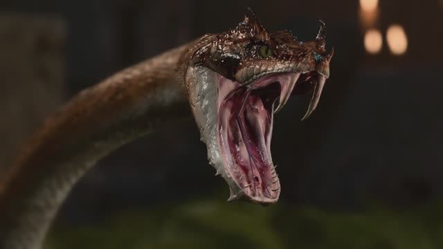 Baldur's Gate 3. Темный соблазн #2 (Маньяк в роще)