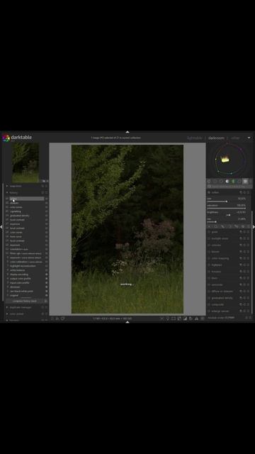Сравнение - "Шиповник" 19 постобработка фото