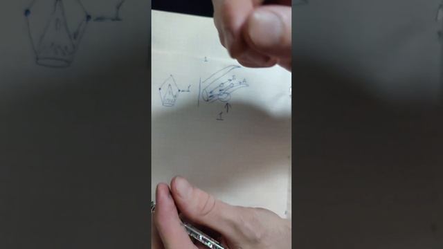 Как давать лекарство стрижу