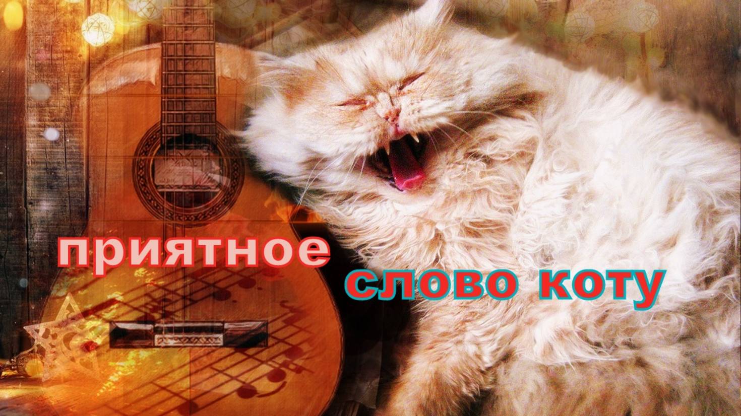 Приятное слово коту