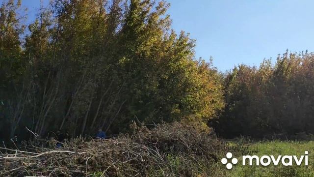 Поход за ГРИБАМИ-2!