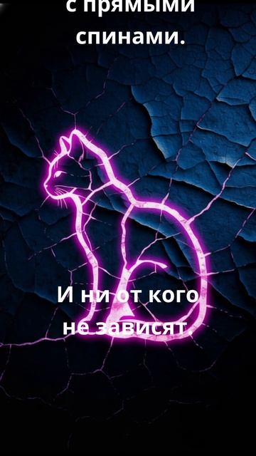 Каменные кошки 1