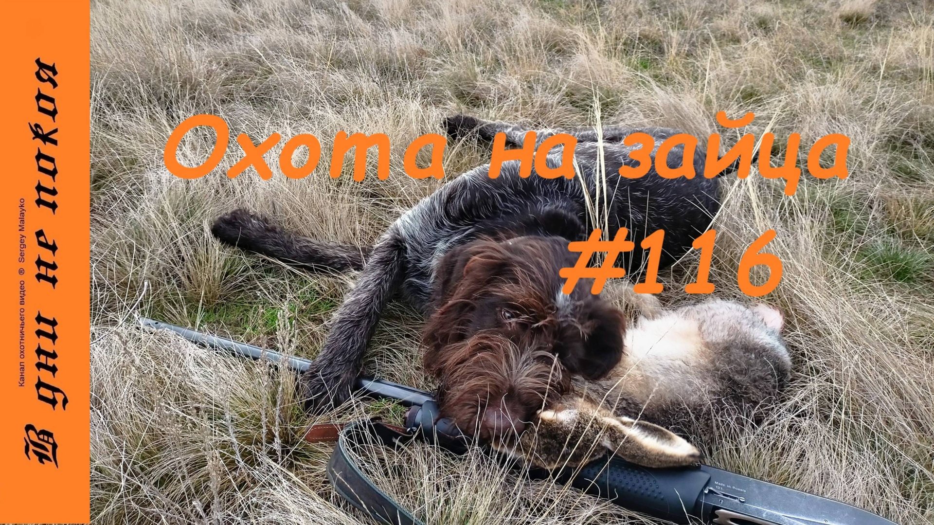 Охота на зайца. Выпуск № 116 18+