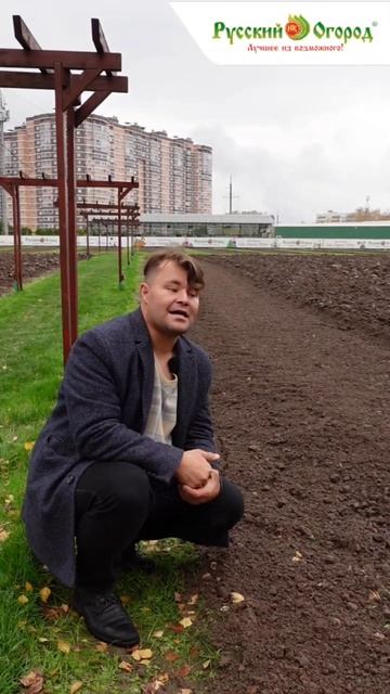 В какие сроки лучше высадить лук-севок?