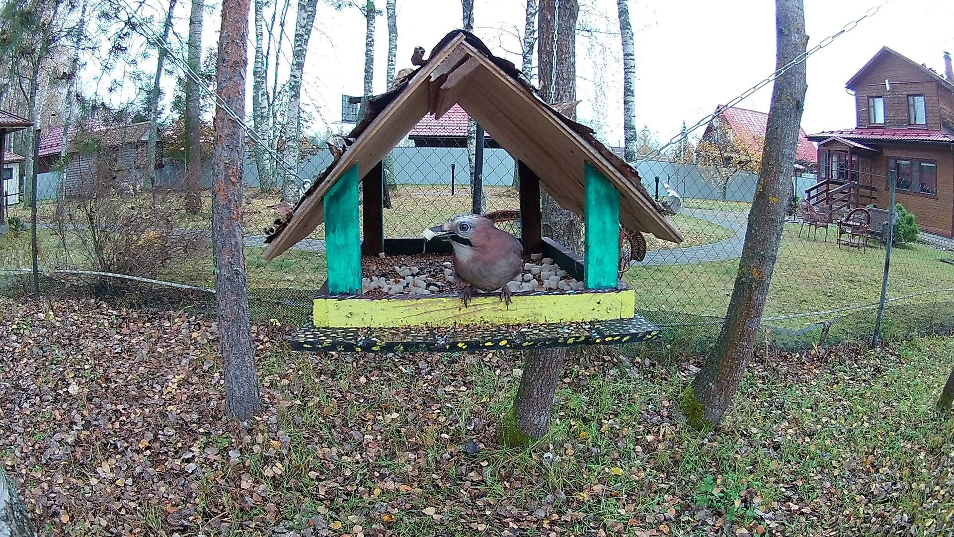 "Домик"  Кормушка для птиц. Синица, Воробей, Сойка  20.10.25