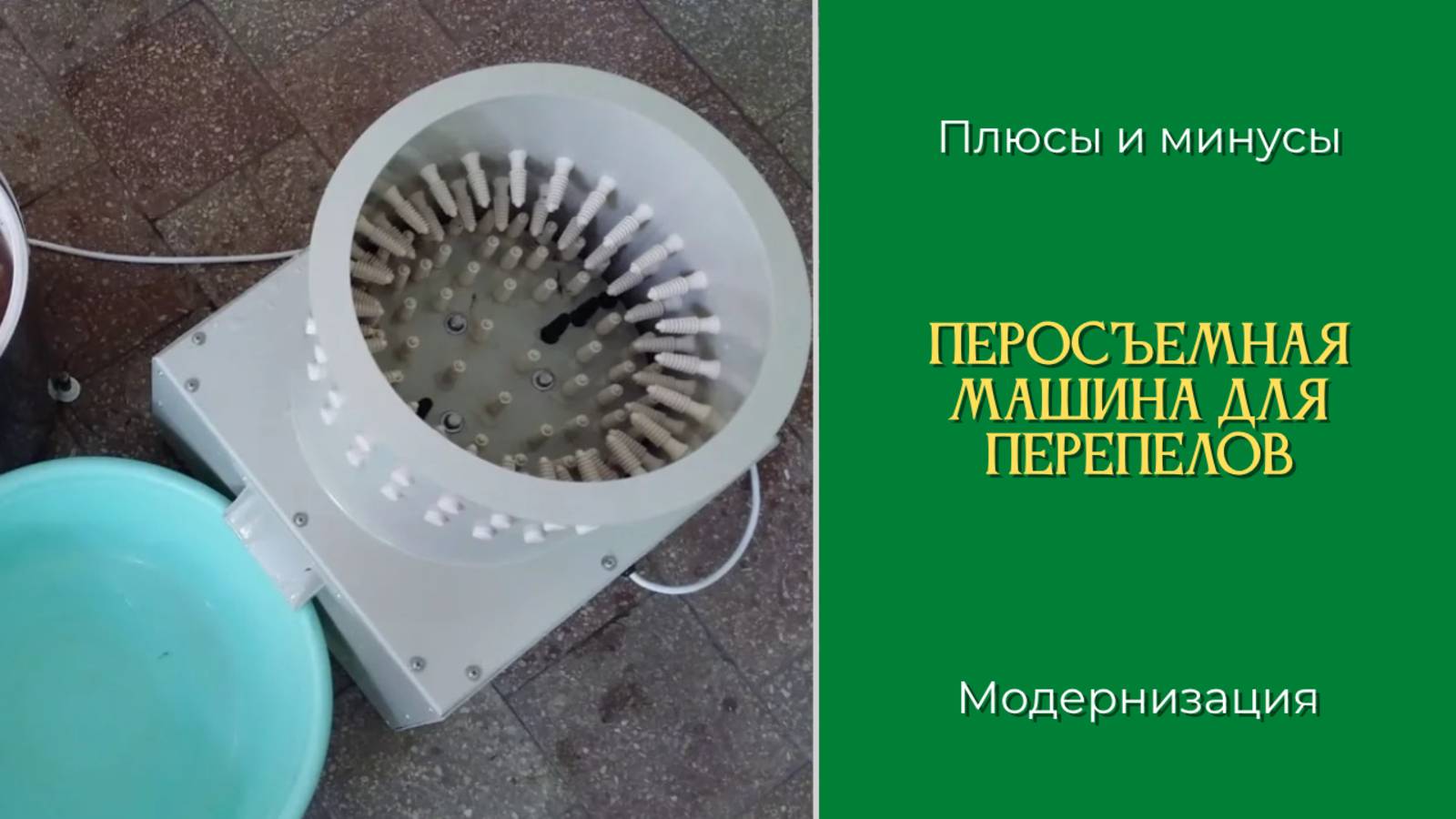 Перосъемная машина для перепелов. Плюсы и минусы Модернизация