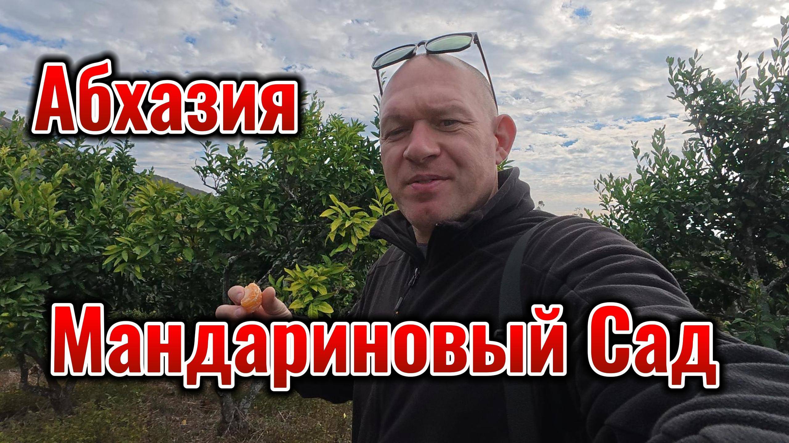 Абхазия Мандариновый Сад