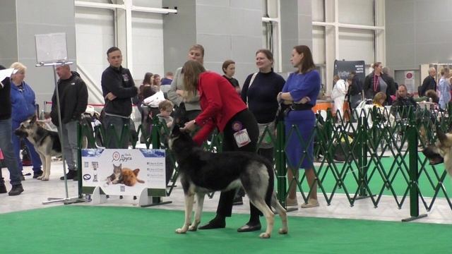 Ольвал Дэнис Румба