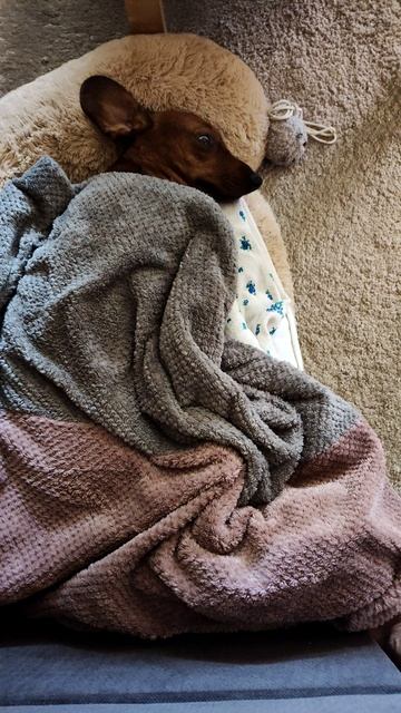 Когда открыла глаза, а рядом мама с камерой