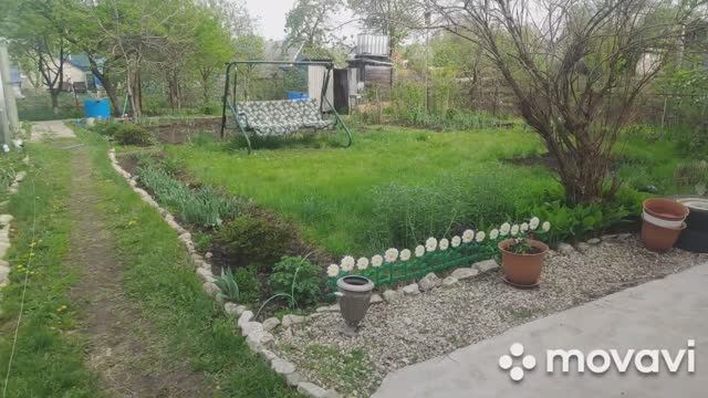 Высаживаю томаты на свой страх и риск.