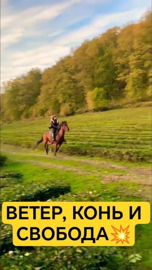 Лошадиный рок и женская сила 💥