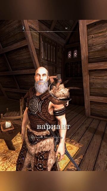 Skyrim: Цири в поисках работы.