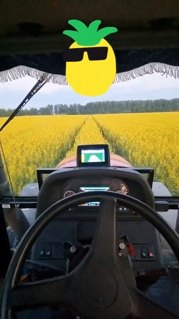 Трактор YTO 1304 и опрыскиватель Bargam по спутникам поливают рапс | #shorts