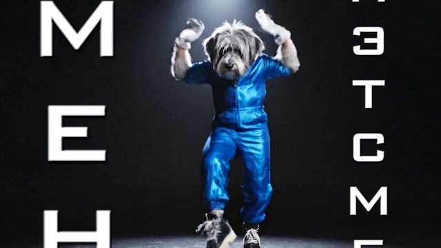 ПЭТСменю | Нравится