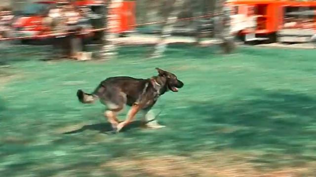 2011-05-05 Klip, Поклонка.