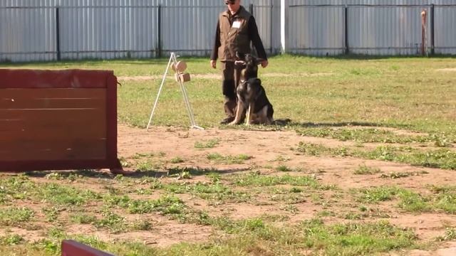 ХУНДЕРШАФТ ВОЛАНД, IPO-2, B-92, проводник Руслан Яворский