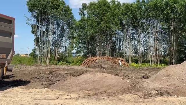 Подготовка участка к строительству, вывоз спиленных деревьев в КП Павловская жемчужина 16.05.2025