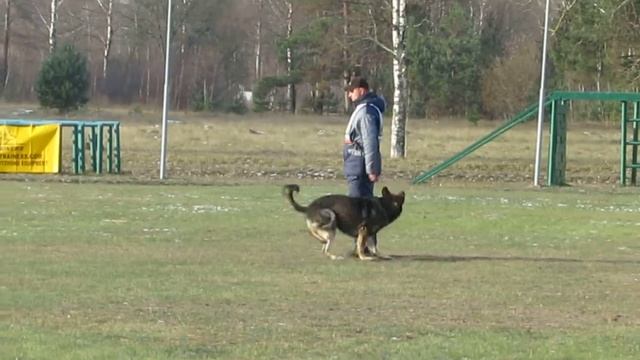 ВИК, IPO-3, B  82