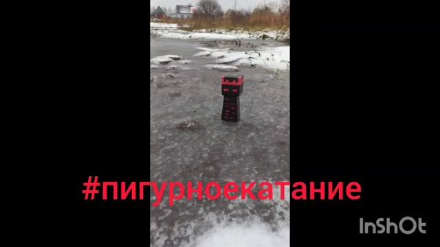 Фотки с этим огузком сделал в среду.