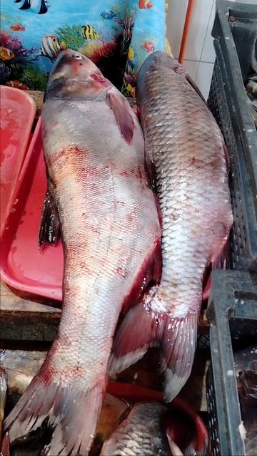 Адлерский рынок