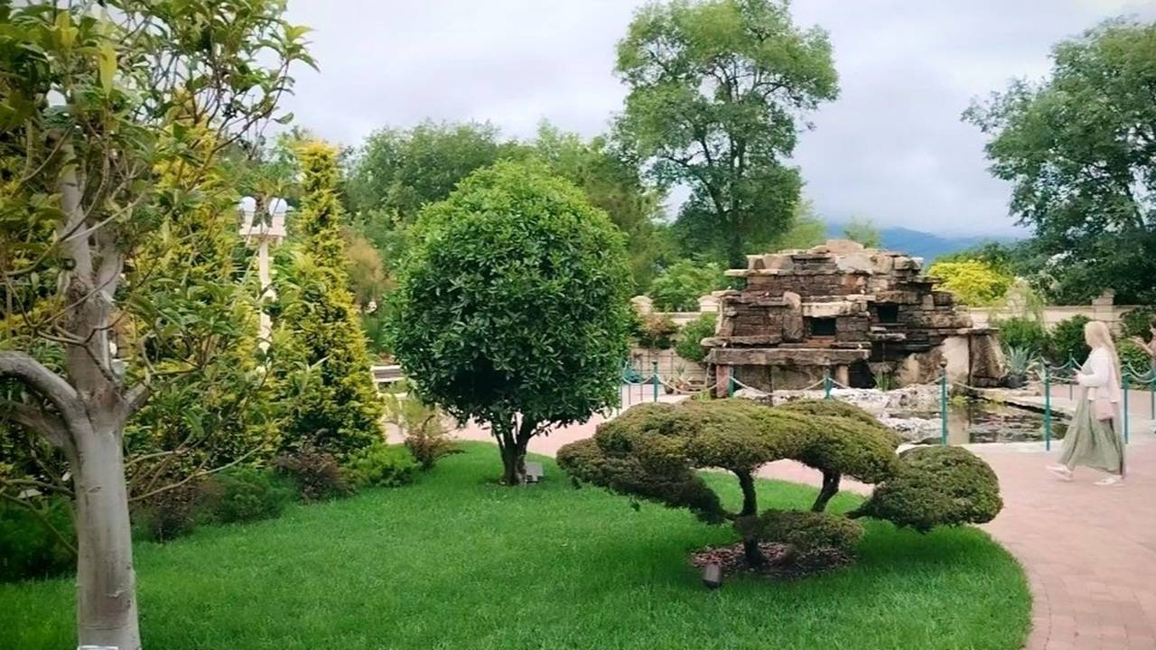 Старый парк в Кабардинке, пруд с лотосами🪷