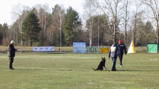 ХУНДЕРШАФТ ВОЛАНД, проводник Руслан Яворский, IPO-3, С-78