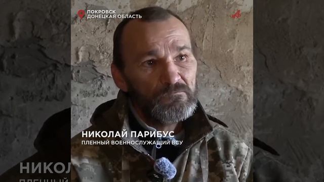 «Убить всех»: боевики ослушались кровавого приказа Зеленского под Покровском и сдались в плен
