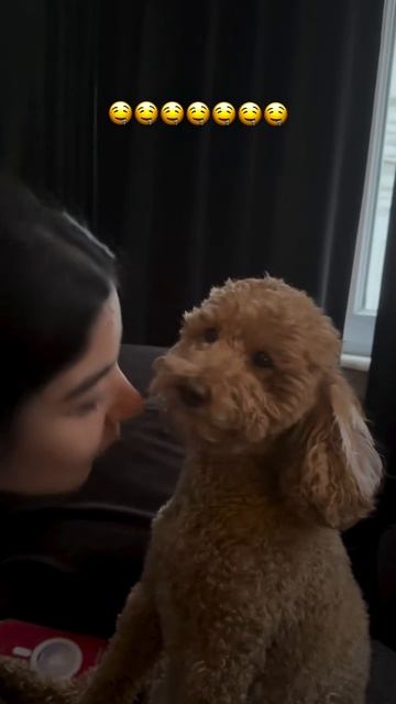 Приколы, юмор, смех, смешныеролики #приколы #юмор #смех #шортс #смешное видео #трендингшортс #топ