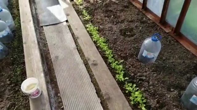 7 соток. Хроника Дача. Май 2022 год