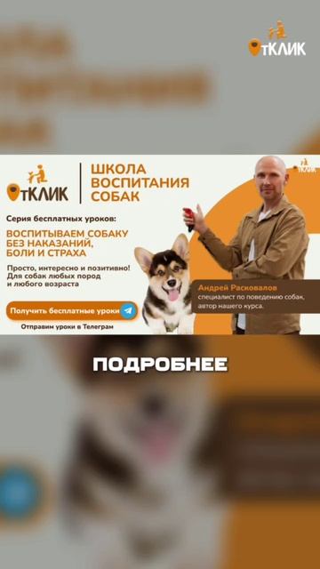 Чтобы это сработало...
