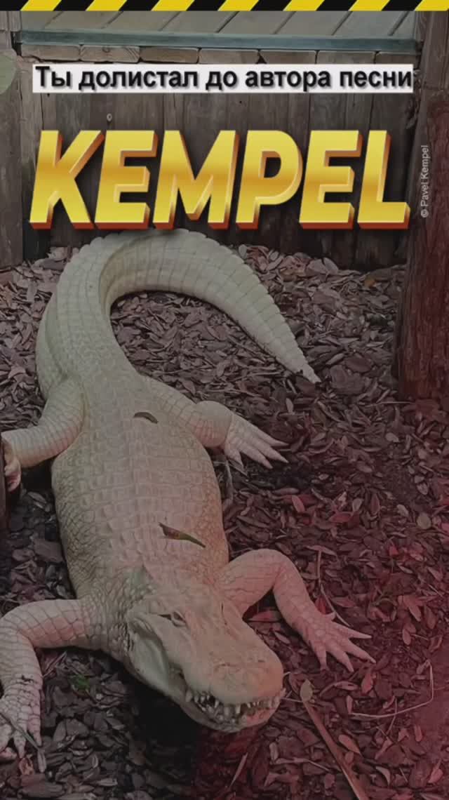 🎵 "Туранга Лила" - 𝐊𝐞𝐦𝐩𝐞𝐥