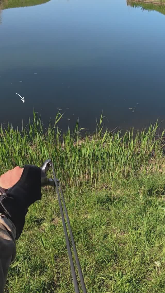 Рыбалка на Рогатку - Slingshot Fishing #охотасрогаткой #2025 #top #headshot#fishing
