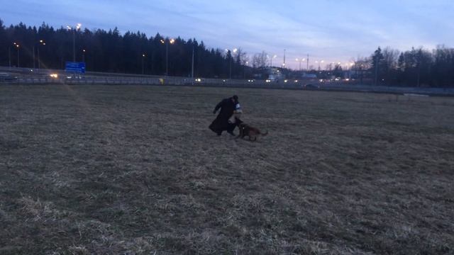 2017 04 09 ТРОЙ Атака