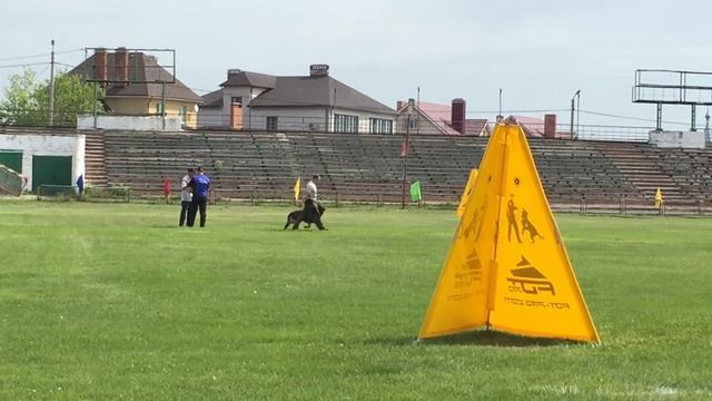 ХУНДЕРШАФТ ВОЛАНД, проводник Руслан Яворский, IPO-3, С-87