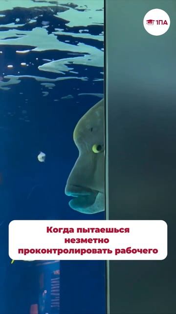 07.11.2025 Контроль