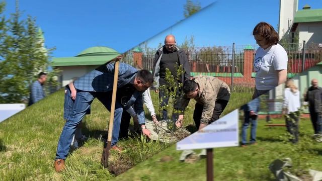 "Папина березка"