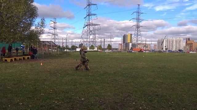 Akira Rutahof, BH/VT