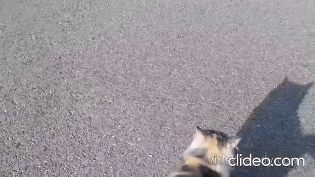 Богатый контент от Анжелы.