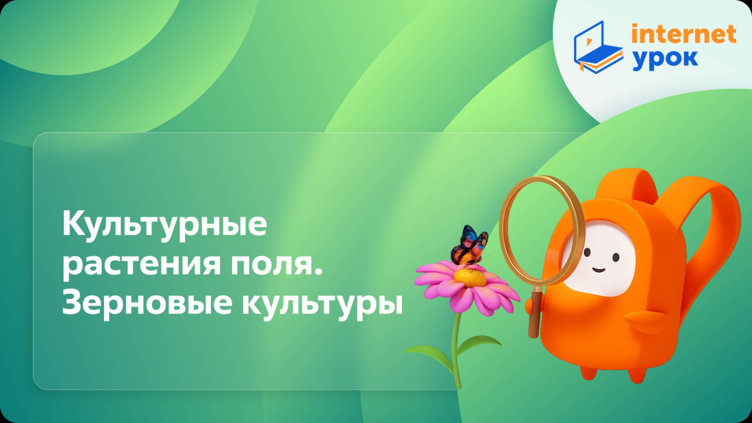 Окружающий мир 1 класс. Культурные растения поля. Зерновые культуры